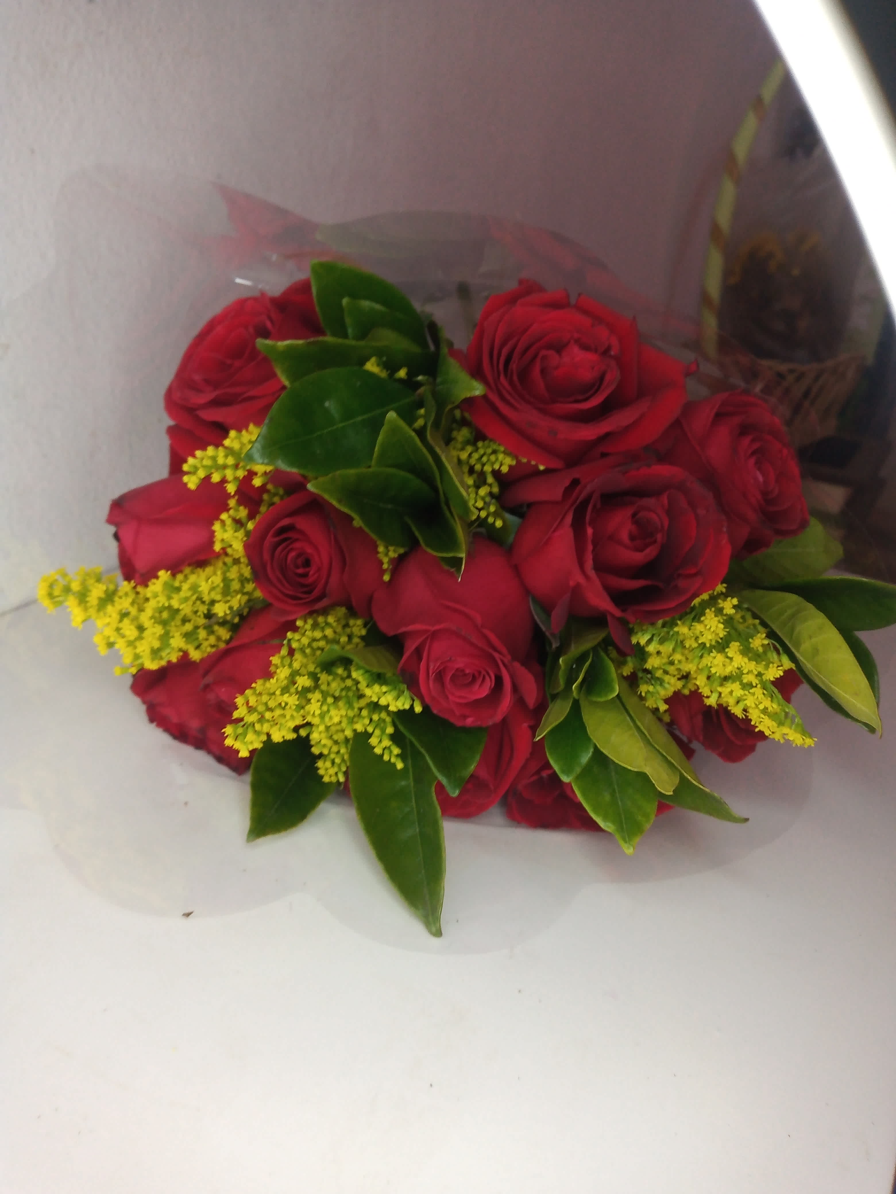 Flores Plantadas: margaridas, violetas e mais | Isabela Flores