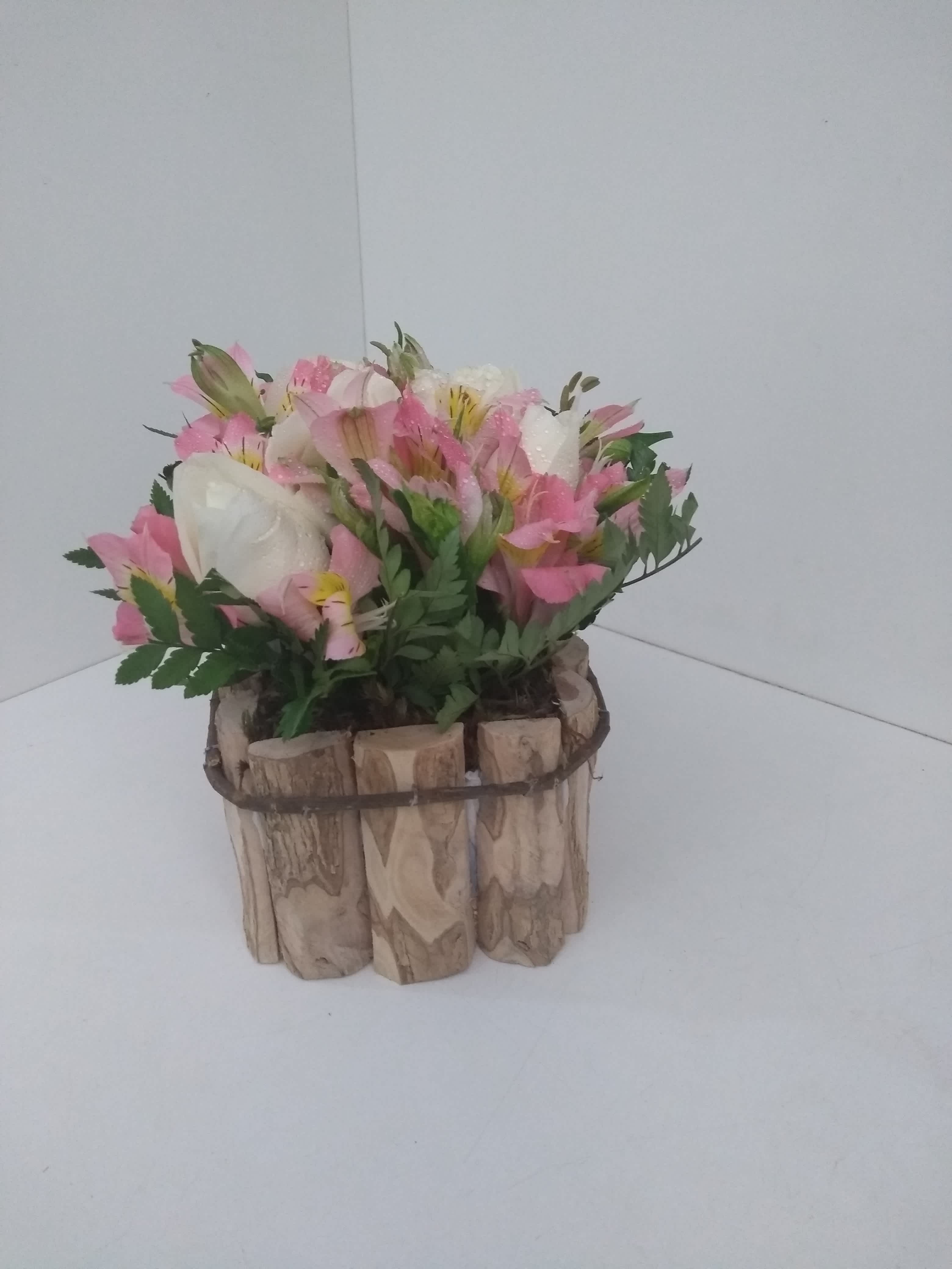 Floricultura em Esmeraldas: flores online | Isabela Flores