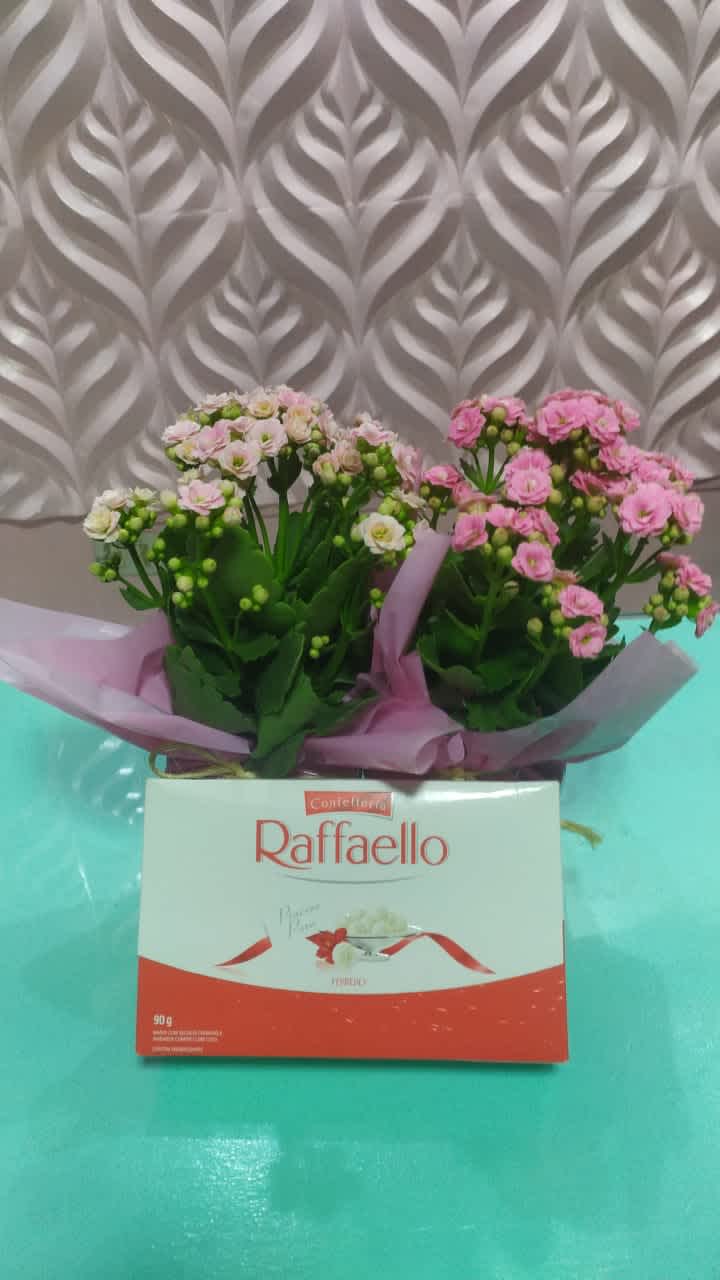 Flores online: coloridas e naturais. Entrega de flor | Isabela Flores